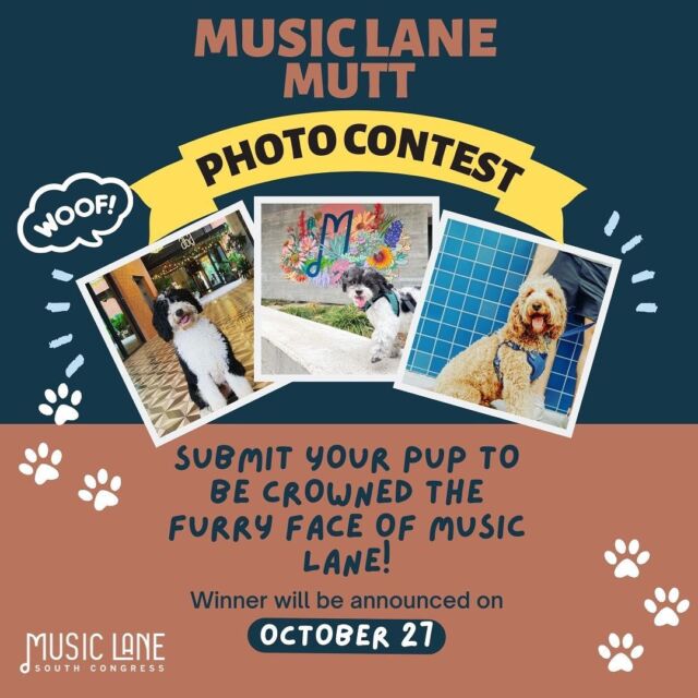 Contact Us - Music Lane | South Congress